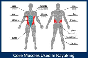 What Muscles Are Used in Kayaking? Feel the Burn! – Paddle Camp | The ...