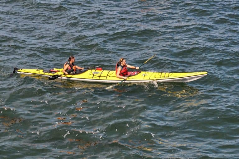 How Long Are Kayaks? (Kayak Length Matters) – Paddle Camp