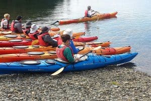 Kayaking 101: Ultimate Guide for Beginners – Paddle Camp | The Best ...