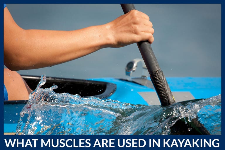 What Muscles Are Used in Kayaking? Feel the Burn! – Paddle Camp | The ...